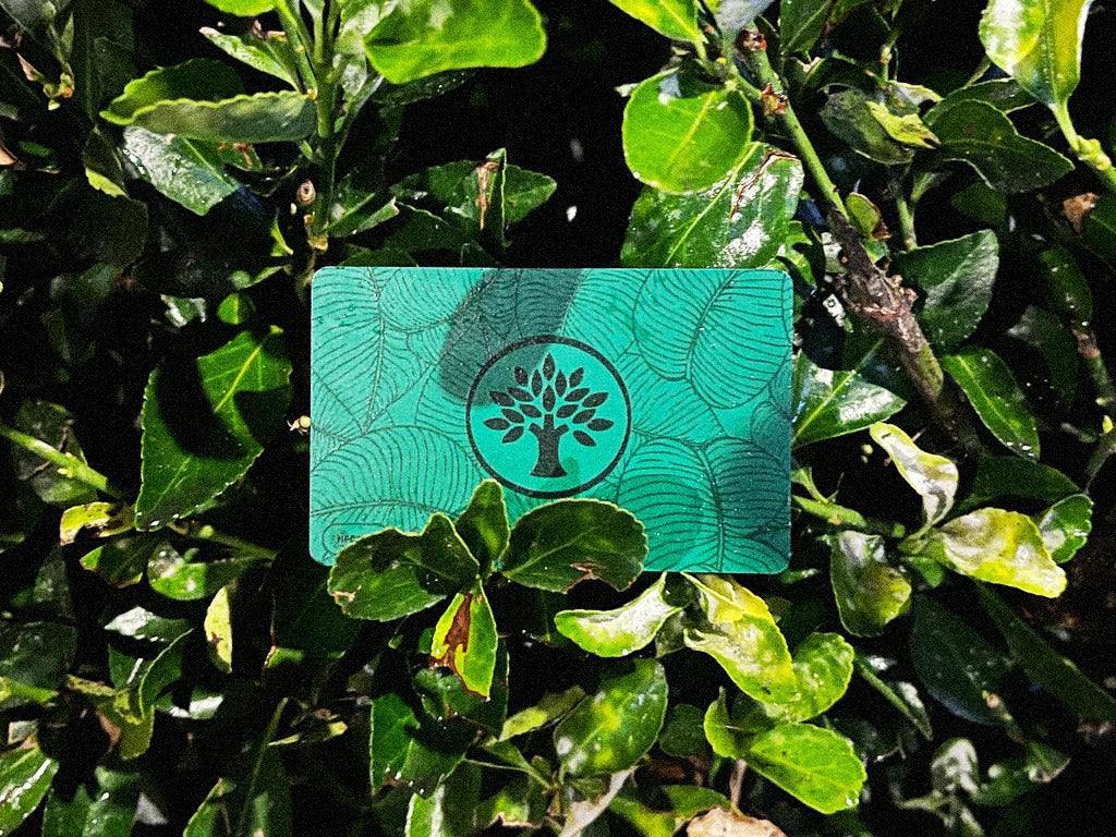 Looking for Environment-Friendly NFC cards? Here’s Why You Should – NFC ...