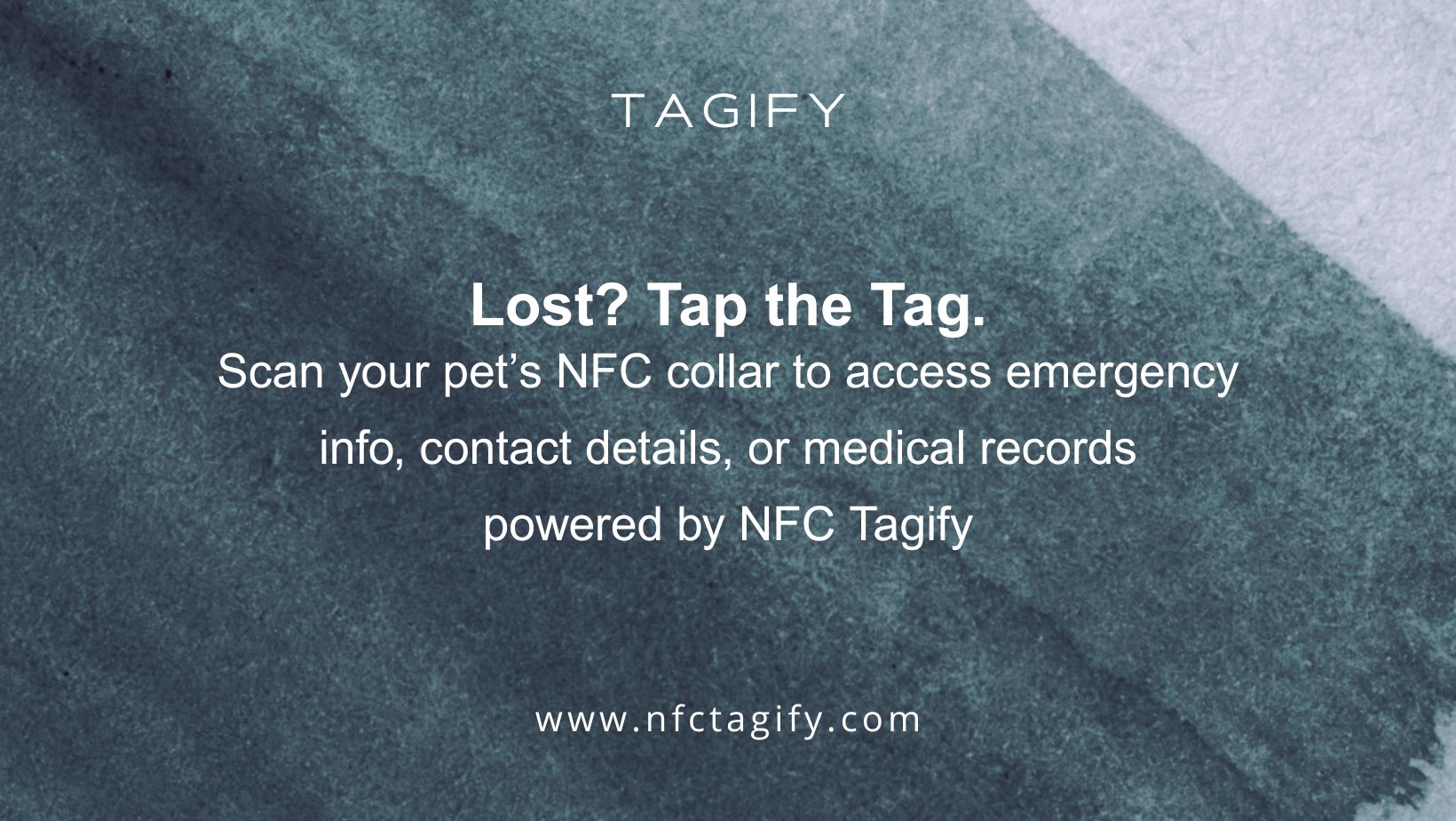 Smart NFC Pet Tags – NFC Tagify